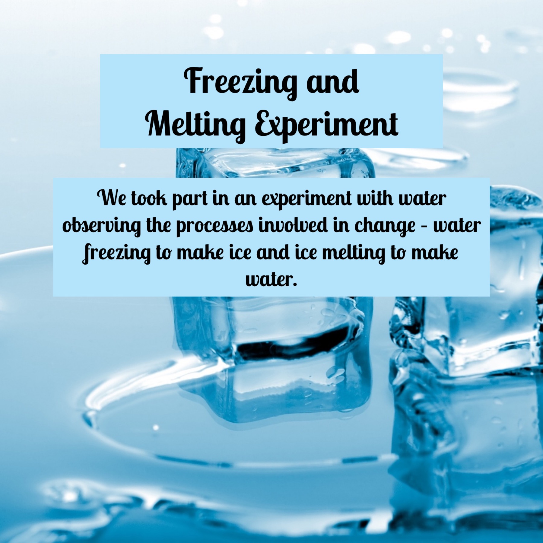 Freezing and Melting Experiment 🧊
